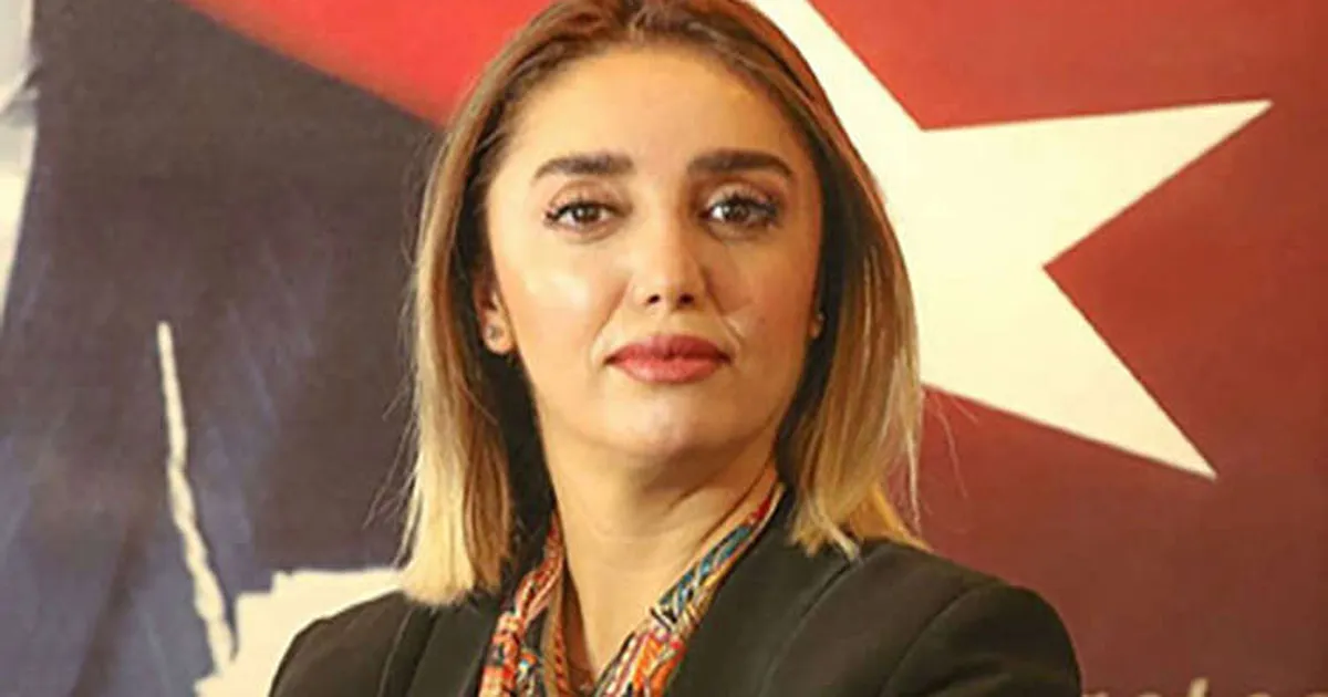 Sanayici Batarken Herkes Sessiz… - İŞİN ASLI- Aslı Aslan Emektar ...